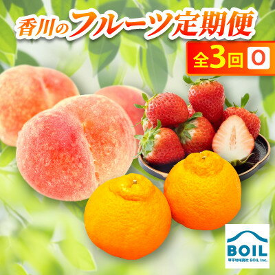 名称 【発送月固定定期便】香川のフルーツ(3O)全3回 保存方法 冷蔵 発送時期 【1回目】発送月の前月20日までのお支払いで発送月上旬より順次発送【2回目以降】発送月上旬より順次発送 提供元 地域商社BOIL．Inc 配達外のエリア 離島...