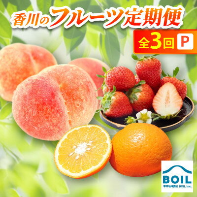 名称 【発送月固定定期便】香川のフルーツ(3P)全3回 保存方法 冷蔵 発送時期 【1回目】発送月の前月20日までのお支払いで発送月上旬より順次発送【2回目以降】発送月上旬より順次発送 提供元 地域商社BOIL．Inc 配達外のエリア 離島...