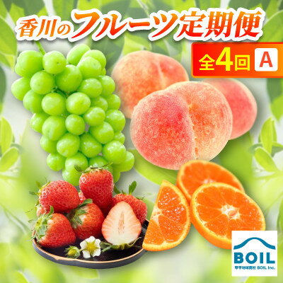 名称 【発送月固定定期便】香川のフルーツ(4A)全4回 保存方法 冷蔵 発送時期 【1回目】発送月の前月20日までのお支払いで発送月上旬より順次発送【2回目以降】発送月上旬より順次発送 提供元 地域商社BOIL．Inc 配達外のエリア 離島...