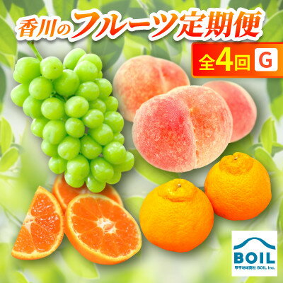 名称 【発送月固定定期便】香川のフルーツ(4G)全4回 保存方法 冷蔵 発送時期 【1回目】発送月の前月20日までのお支払いで発送月上旬より順次発送【2回目以降】発送月上旬より順次発送 提供元 地域商社BOIL．Inc 配達外のエリア 離島...