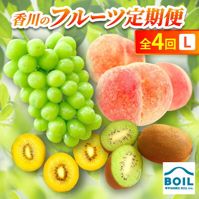 名称 【発送月固定定期便】香川のフルーツ(4L)全4回 保存方法 冷蔵 発送時期 【1回目】発送月の前月20日までのお支払いで発送月上旬より順次発送【2回目以降】発送月上旬より順次発送 提供元 地域商社BOIL．Inc 配達外のエリア 離島...