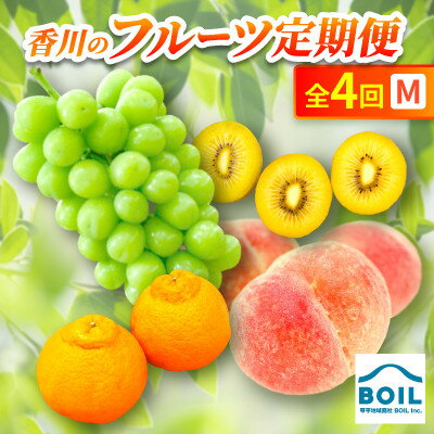 名称 【発送月固定定期便】香川のフルーツ(4M)全4回 保存方法 冷蔵 発送時期 【1回目】発送月の前月20日までのお支払いで発送月上旬より順次発送【2回目以降】発送月上旬より順次発送 提供元 地域商社BOIL．Inc 配達外のエリア 離島...