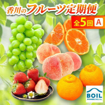 名称 【発送月固定定期便】香川のフルーツ(5A)全5回 保存方法 冷蔵 発送時期 【1回目】発送月の前月20日までのお支払いで発送月上旬より順次発送【2回目以降】発送月上旬より順次発送 提供元 地域商社BOIL．Inc 配達外のエリア 離島...