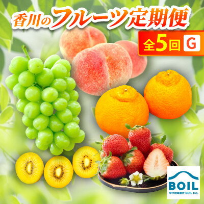 名称 【発送月固定定期便】香川のフルーツ(5G)全5回 保存方法 冷蔵 発送時期 【1回目】発送月の前月20日までのお支払いで発送月上旬より順次発送【2回目以降】発送月上旬より順次発送 提供元 地域商社BOIL．Inc 配達外のエリア 離島...