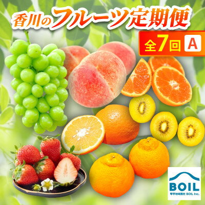 名称 【発送月固定定期便】香川のフルーツ(7A)全7回 保存方法 冷蔵 発送時期 【1回目】発送月の前月20日までのお支払いで発送月上旬より順次発送【2回目以降】発送月上旬より順次発送 提供元 地域商社BOIL．Inc 配達外のエリア 離島...