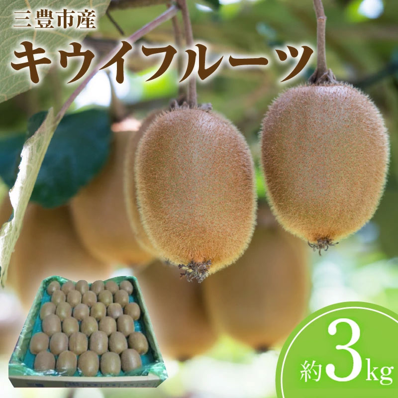 特産品詳細 特産品名 【ふるさと納税】三豊市産キウイフルーツ 内容量 約3kg（24〜33玉） ※入り個数はご指定いただけません 消費期限 出荷日+7日 配送温度帯 常温 アレルギー キウイフルーツ 産地 香川県三豊市 商品説明 本商品は【...