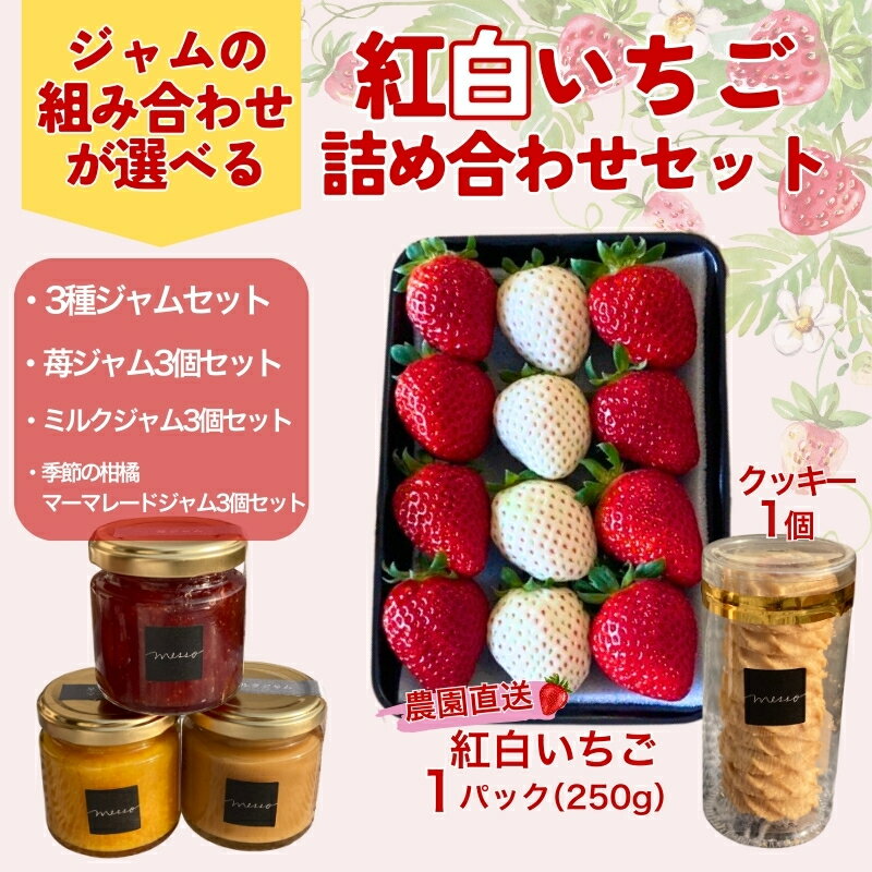 伊予市の人気店コラボ！ 中山町でいちご農園を運営する「くぼなか農園」と、市内でカフェを営む「messo」のコラボ返礼品です。 くぼなか農園のいちごは、エコえひめ「県認証農産物（養液栽培）」の認証を受けています。 使用する肥料等にも気を配り安...