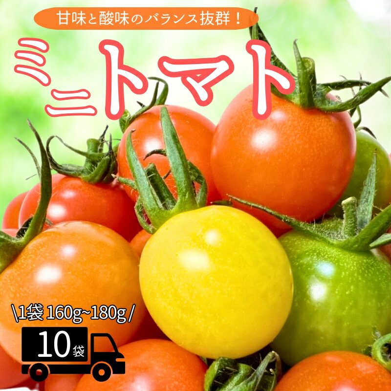 主婦数名で運営している「坂本農園」のミニトマト。 「ここのトマト以外食べられなくなった」などのお声も多い、リピーター続出のトマトです。 食べきりやすいようミニトマトが160g〜180g入った袋を10袋お届けします。 袋培地で根っこを制限し水...
