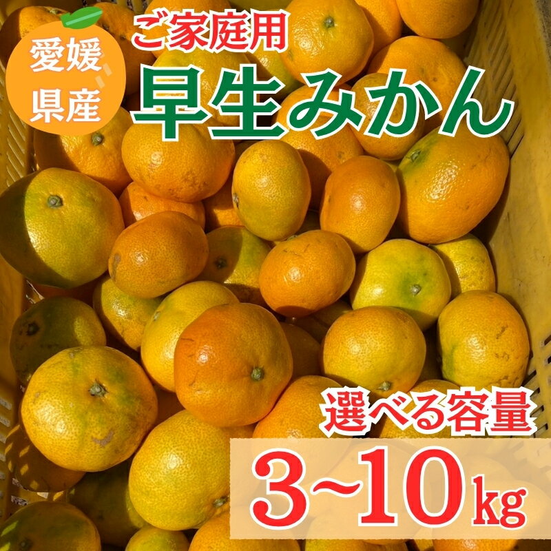 きれいな夕日で有名な双海町で育てた早生みかんです。 みかんに適した温暖な気候で育てた甘くジューシーな自慢の味をお試しください。 ※※お申込前に青果物についての注意事項を必ずご確認ください※※ ※容量以上分（2,3個程度）は傷み補償として、入...