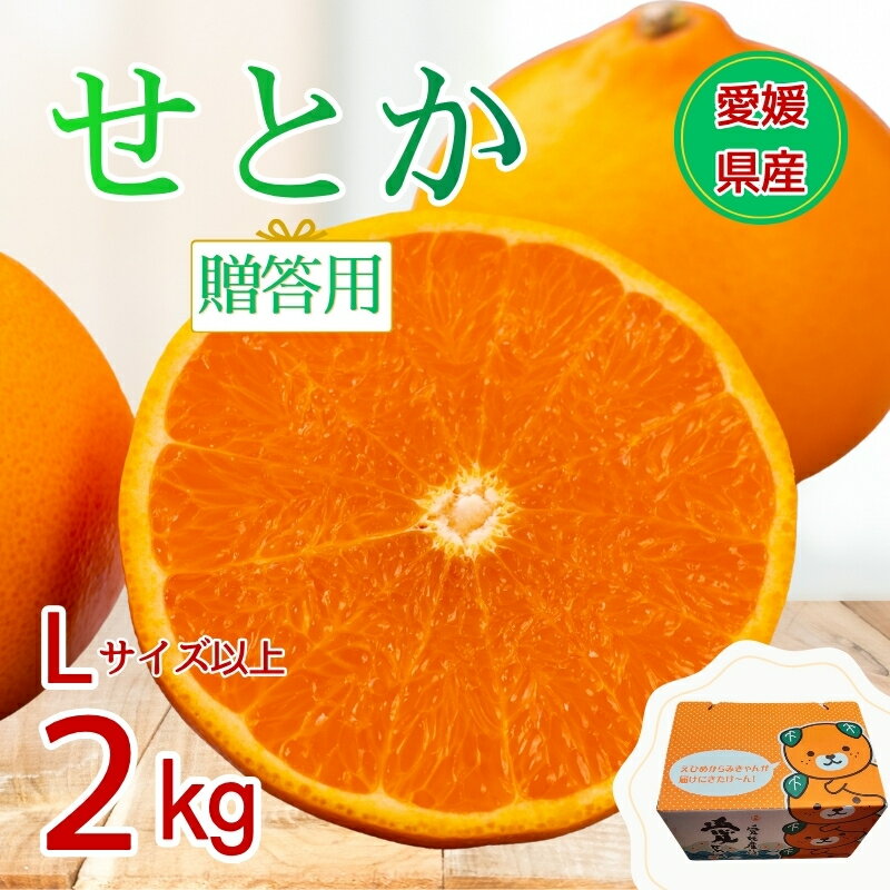 ◆◆こちらの返礼品は、【2027年1月中旬より順次発送予定】の先行予約品です◆◆ 施設（ハウス）で作られたせとかになります。 果汁たっぷりで果肉は柔らかく、とても甘いです。 愛媛県を代表する柑橘のひとつで『柑橘の大トロ』とも呼ばれています。...