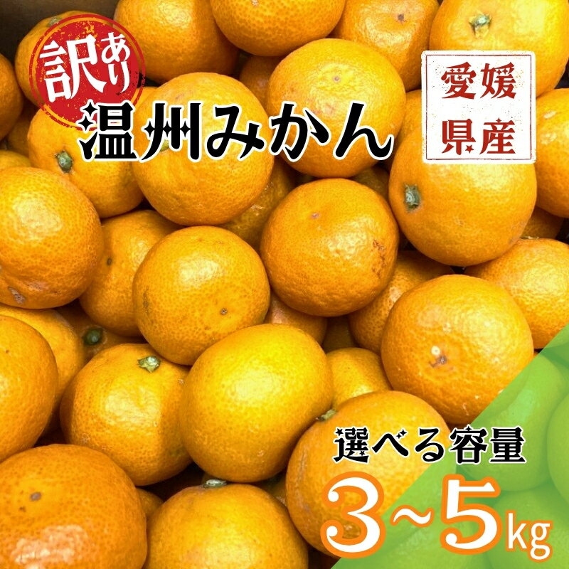 ◆◆こちらの返礼品は、【2026年11月上旬～12月下旬に発送予定】の先行予約品です◆◆ 温州みかんは、私たちが一般的に「みかん」と呼んでいる日本の代表的な柑橘類です。 皮が薄くてむきやすく、食べやすいことが特徴です。 【注意事項】 ※外皮...