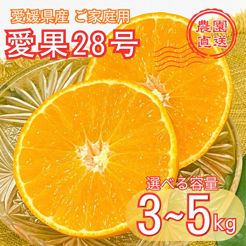 ◆◆こちらの返礼品は、【2026年12月上旬より順次発送予定】の先行予約品です◆◆ 愛果28号は紅まどんなと同一品種で、ゼリーのようなとろける食感とさっぱりした甘さが特長のみかんです。 伊予市に移住して新規就農し、柑橘類を栽培しています。 ...