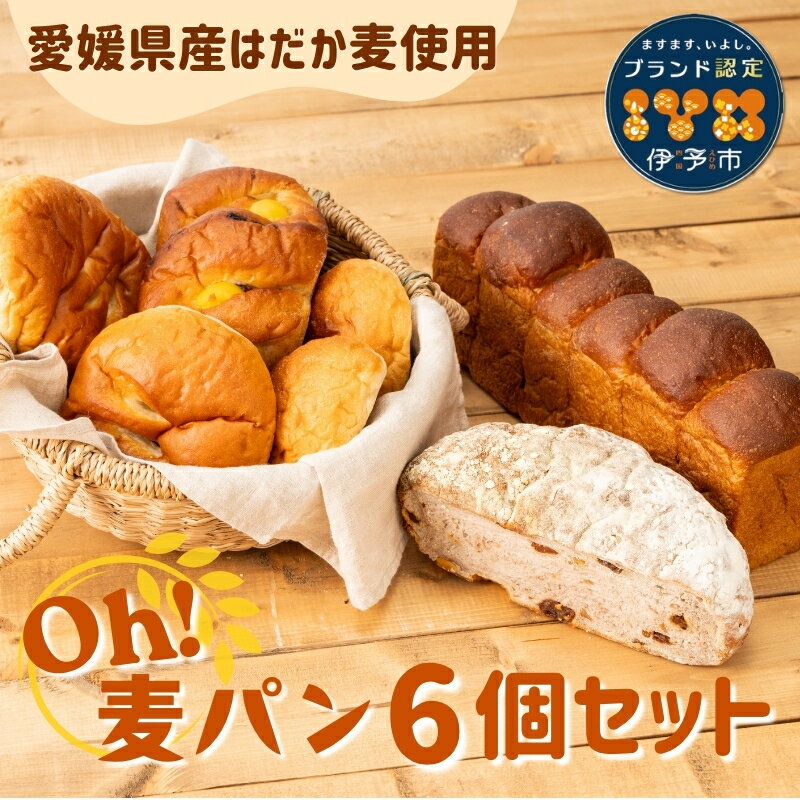 愛媛県産大麦（はだか麦）を使ったパンのセットです。 大麦の1種の「はだか麦」は愛媛県で盛んに栽培されており、30年連続で全国1位の生産量です。 ●全国初！特許取得のパン用はだか麦粉を使用。 篠崎ベーカリーでは、このはだか麦を使った「はだか麦...