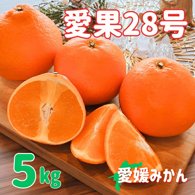 ◆◆こちらの返礼品は、【2026年11月下旬以降～1月末順次発送】の先行予約品です◆◆ 太陽の光、大地の恵みをしっかり受け取り元気に育ちました。 疲労回復効果のあるクエン酸、美肌効果のあるビタミンC、 免疫力アップなど、愛媛のおいしさと元気...