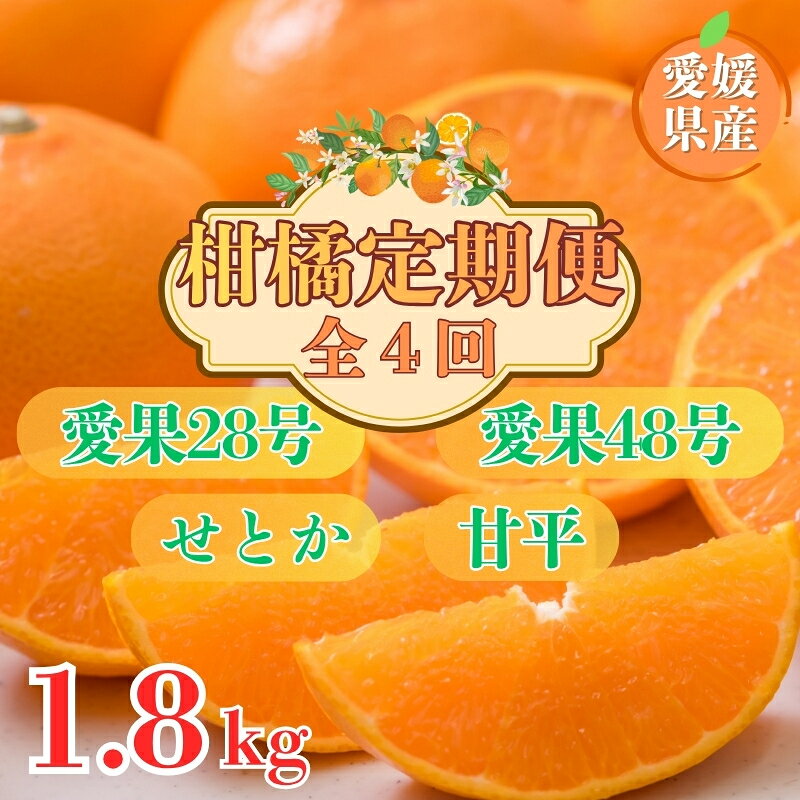 ◆◆こちらの返礼品は、【2026年12月以降発送開始予定】の先行予約品です◆◆ 柑橘王国愛媛からお届けする「柑橘定期便」。 温暖な気候のもとで育った、その季節でいちばん美味しい柑橘をお届け！！ 全4回の贅沢なラインナップです。 この機会にお...
