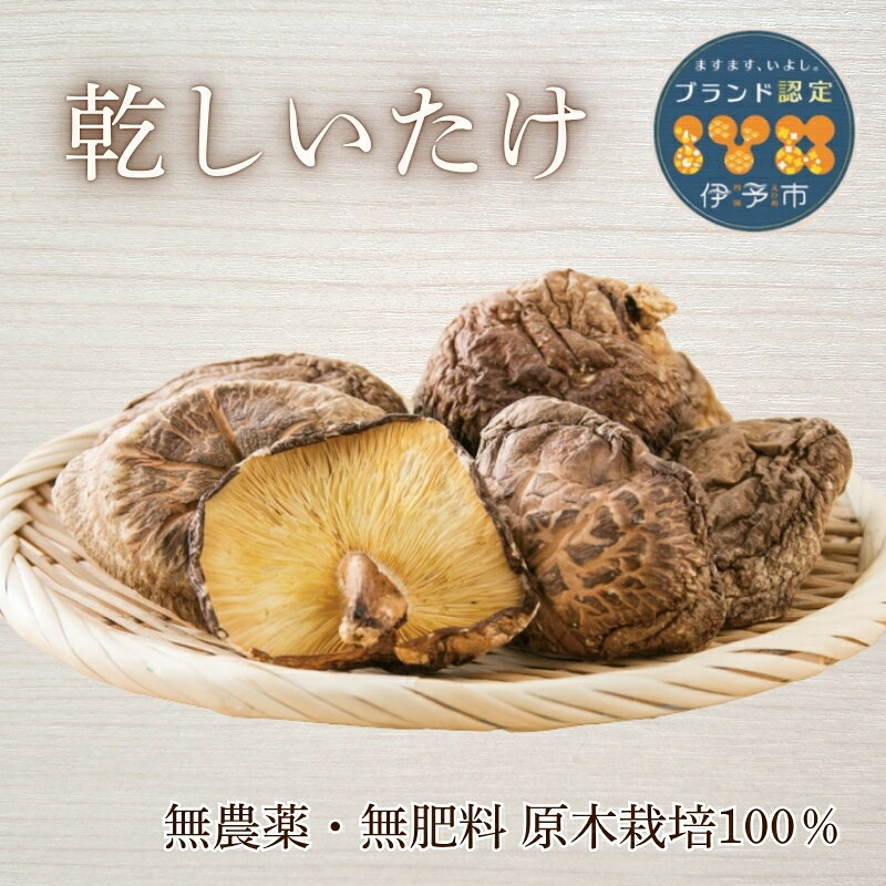 昭和28年頃から、伊予市中山町で木炭生産に利用していたクヌギを原木として、シイタケの栽培が始まりました。 伊予森林組合が生産する「乾しいたけ」は、農薬・肥料を使用しない原木栽培100％のシイタケのみを乾燥させたものです。 水でもどすと、肉厚...