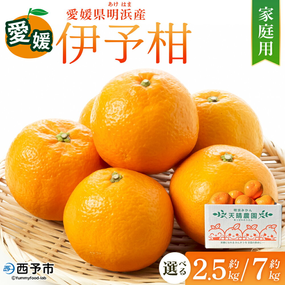 ・ふるさと納税よくある質問はこちら ・寄付申込みのキャンセル、返礼品の変更・返品はできません。あらかじめご了承ください。 名称 伊予柑 家庭用 詳細 愛媛の冬を代表する柑橘「伊予柑」 温暖な気候に恵まれた明浜町で育った伊予柑は、 さわやかな...