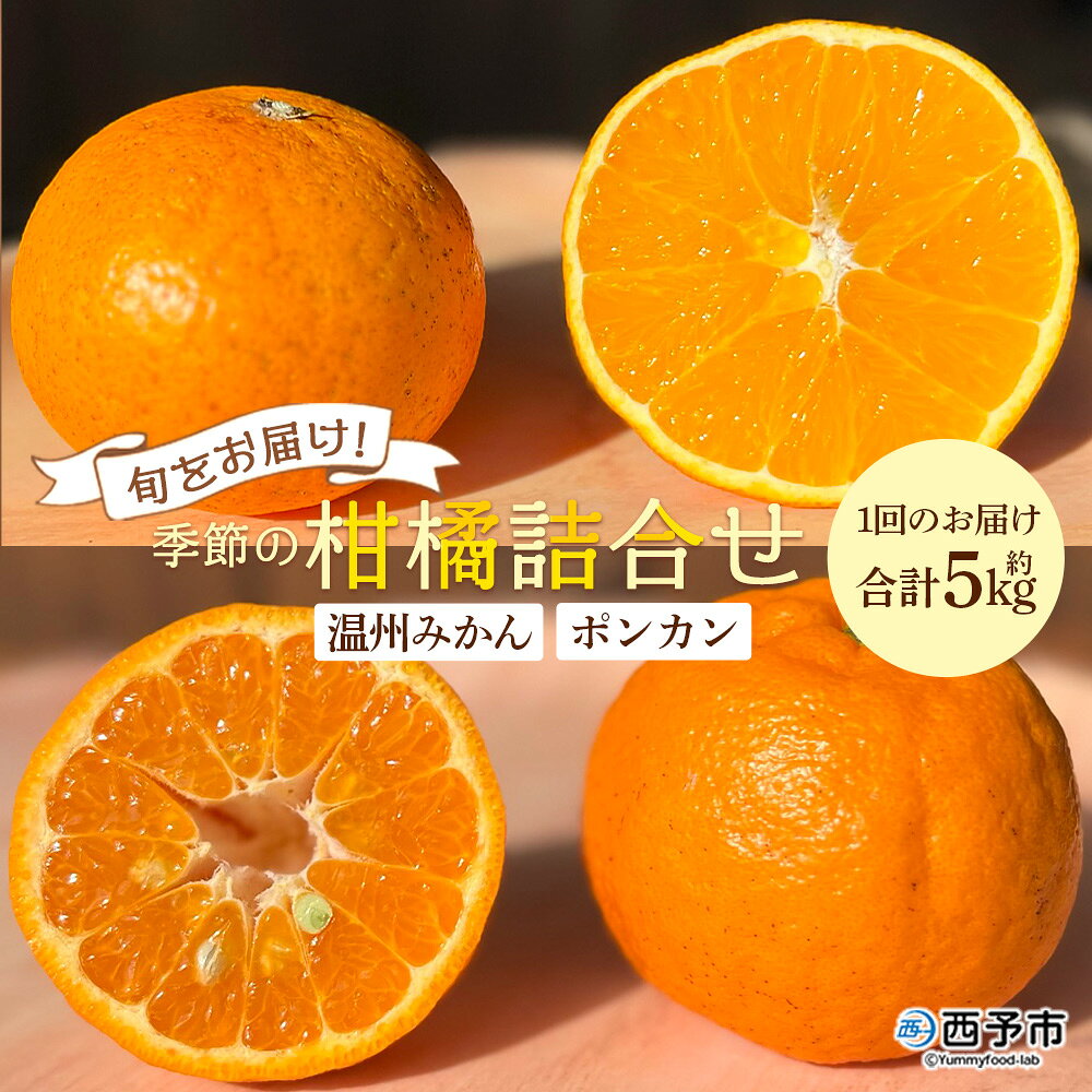 ・ふるさと納税よくある質問はこちら ・寄付申込みのキャンセル、返礼品の変更・返品はできません。あらかじめご了承ください。 名称 旬をお届け！季節の柑橘 2回定期便 内容量 【季節の柑橘】合計5kg 〔1回目〕 温州みかん 約3kg（早生また...