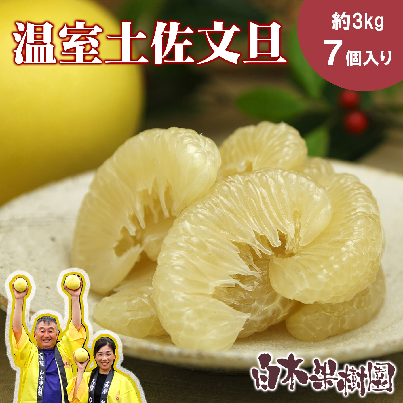 露地栽培の土佐文旦とは一味違った、濃厚でコクのある甘さと、芳醇な香りが特徴の温室土佐文旦。 たくさん入ったお得箱は、ご自宅用に喜ばれています。 温室土佐文旦　Lサイズ　7個入り 【賞味期限】 到着日より14日 【原料原産地】 高知県土佐市露...
