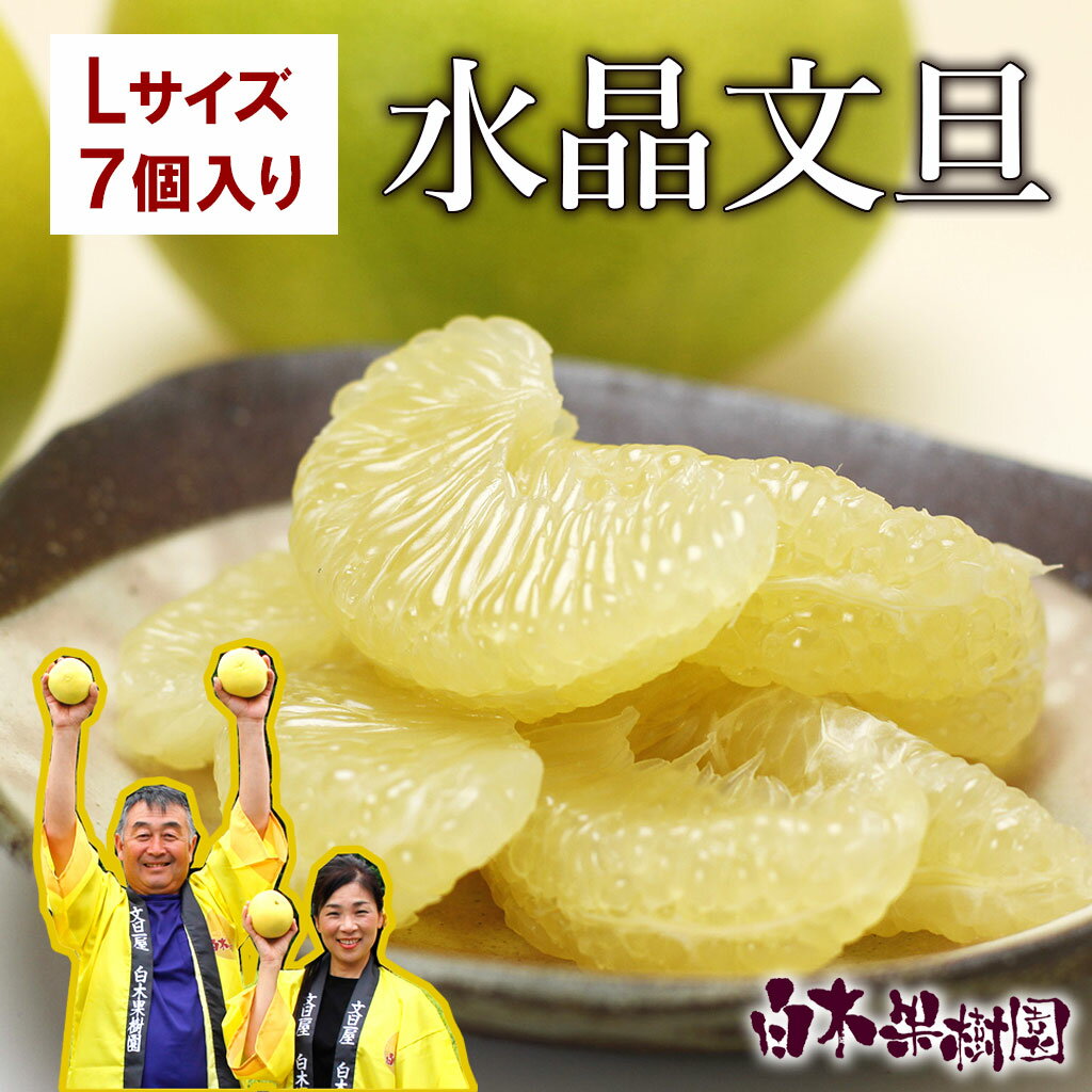 【商品説明】 高知県土佐市の名産「水晶文旦」Lサイズの7個入りセット（約3kg）は、特有の甘みと酸味のバランスが取れた爽やかな味わいが特長です。土佐文旦とは異なる早生系の品種で、緑色の状態で完熟を迎えます。 果肉が柔らかくさわやかな香りと甘...