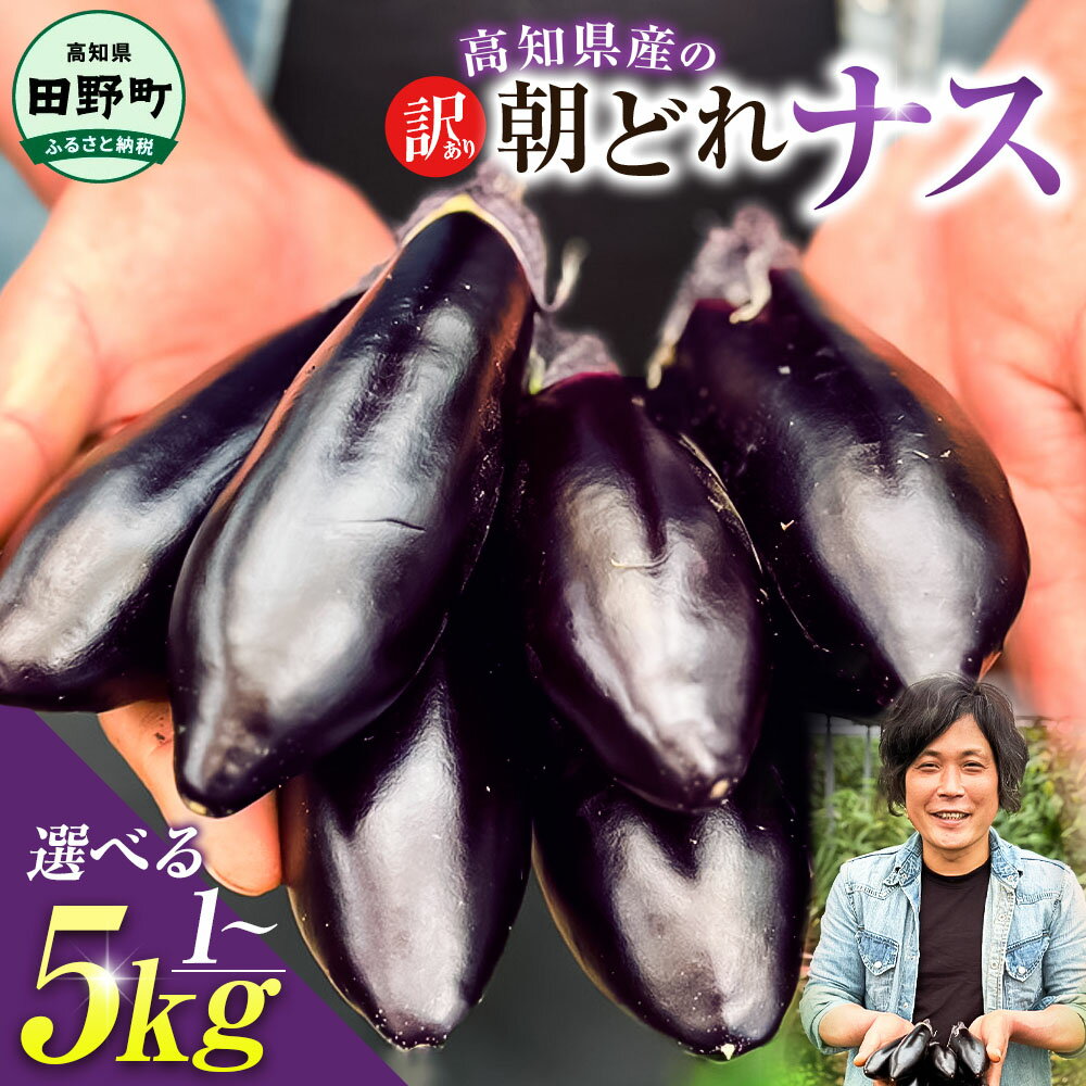 商品説明名称訳あり高知県産の朝どれナス商品説明なすはどれも同じ、じゃない！高知県のなす生産量は全国一!そのうち田野町を含む安芸地区は県全体の約90％を占めている。田野町で採れるナスは皮が薄く果肉が柔らかく、甘い、そしてアクが少ない。また高知...