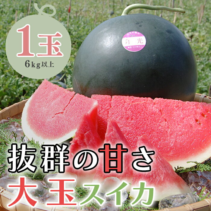 受付期間 ～2026年8月4日 配送期間 7月中旬頃～8月18日 高知の太陽をたっぷり浴びた、ねばねばファーム・笹木さんのこだわりスイカです。 シャリシャリ食感の「赤い珊瑚」や、種なしで食べやすい「月光」など、その時一番おいしい旬の味を産地...