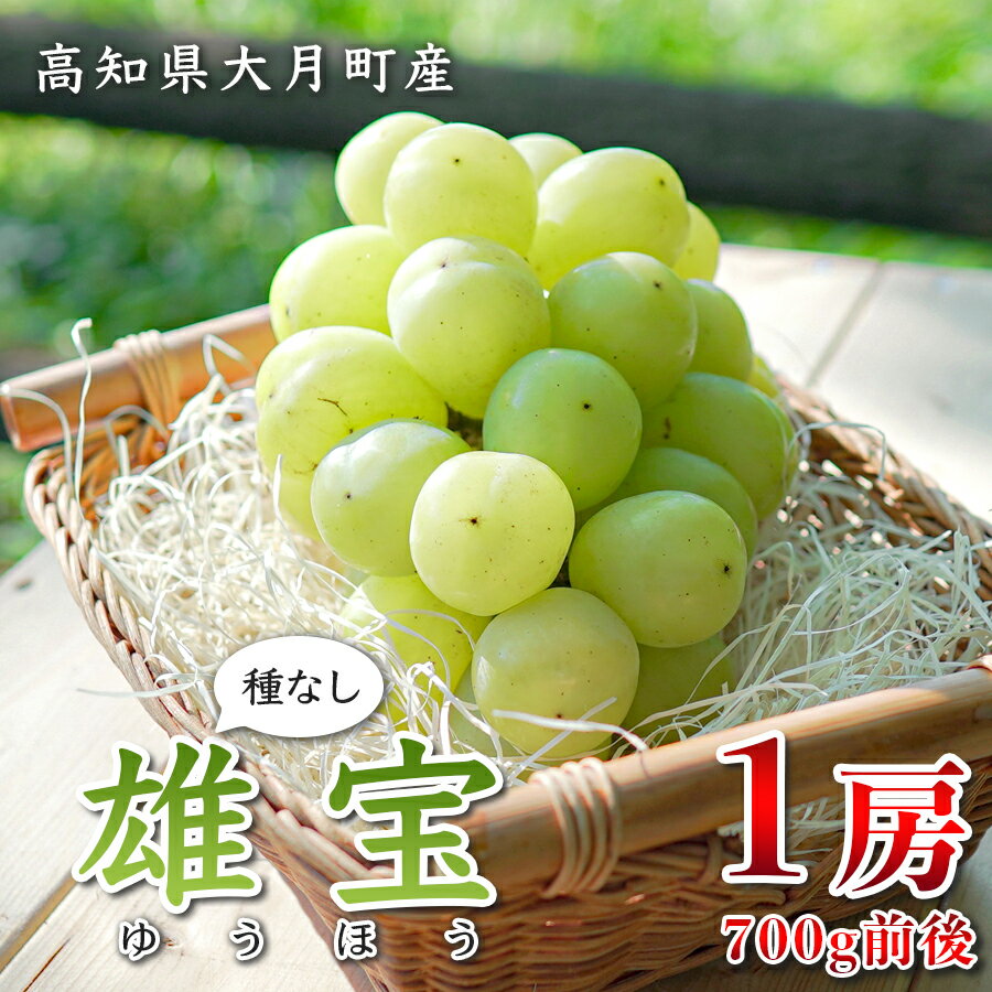 【受付期間】～R8年8月17日 【配送期間】　8月中旬～9月下旬頃 毎年リピーターの多い松田ぶどう園のぶどう。 種なしで皮ごと食べられるお手軽さと、一粒でも満足感の高い大粒で人気の高級品種「雄宝（ゆうほう）」1房をお届けします。 圧巻の大粒...