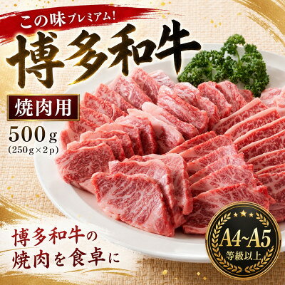 名称 この味プレミアム!【A4～A5】博多和牛焼肉用　500g(250g×2p)(大牟田市) 保存方法 冷凍 発送時期 2026-8月以降、順次発送※生産・天候・交通等の事情により遅れる場合があります。 提供元 株式会社MEAT　PLUS（...