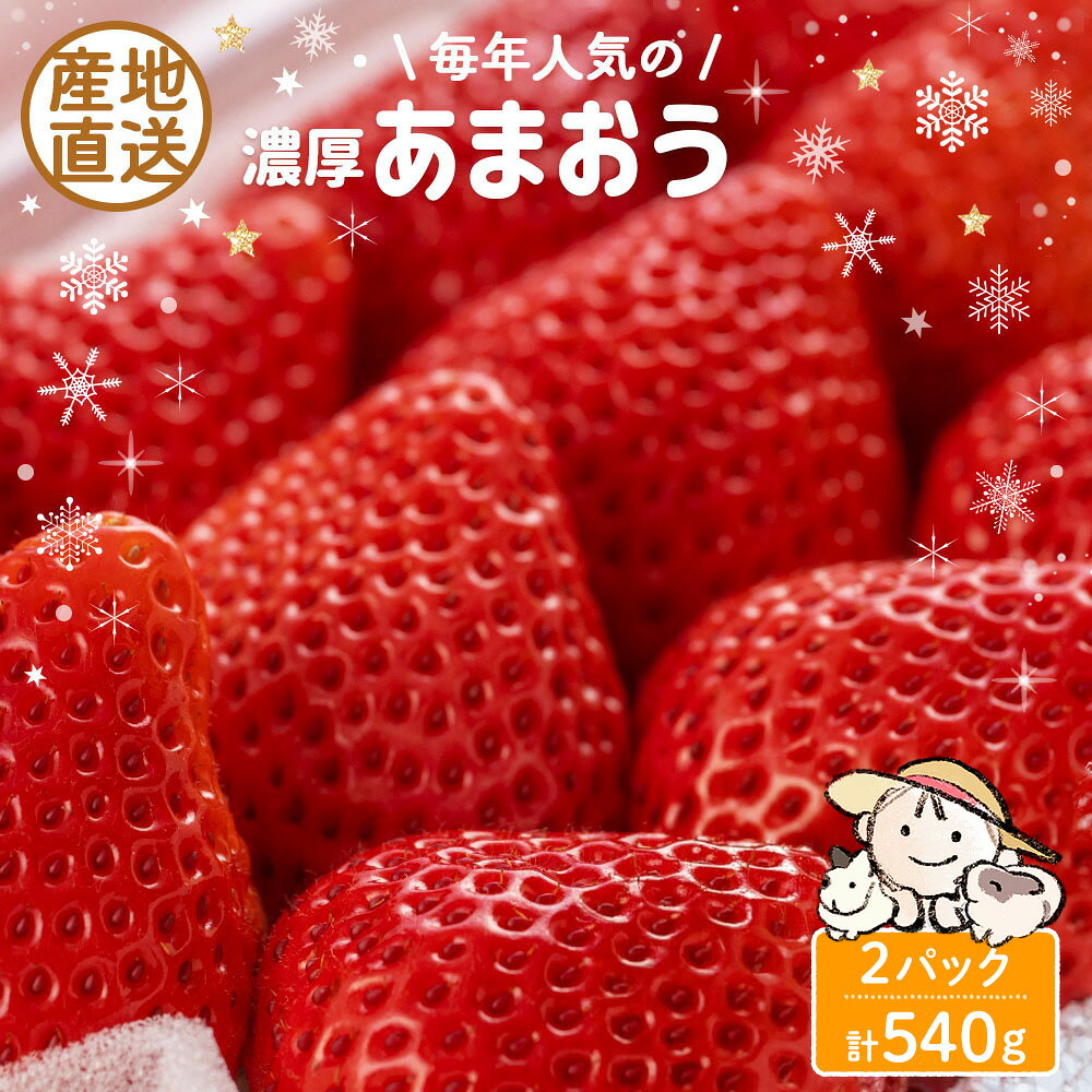 ★2026年12月中旬より順次発送★ 商品説明 名称【先行予約】あまおう 540g (270g×2パック) ココロファームの濃厚あまおう 内容量540g (270g×2パック) 原産地福岡県豊前市 賞味期限発送から5日 保存方法要冷蔵（10...