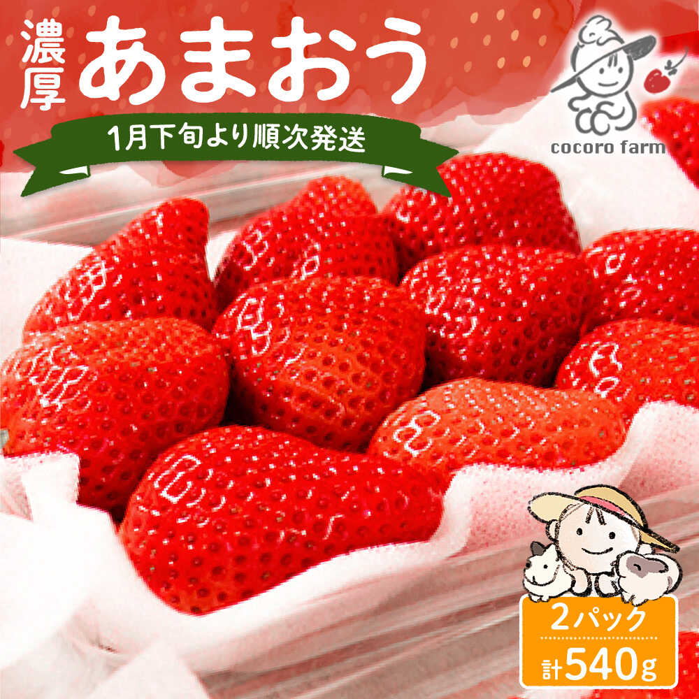 商品説明 名称【先行予約】ココロファームの濃厚あまおう【2027年1月下旬〜3月下旬発送】 内容量540g（270g×2パック） 原産地福岡県豊前市 賞味期限発送から5日 保存方法要冷蔵（10℃以下で保存） 配送方法冷蔵 配送期日2027年...