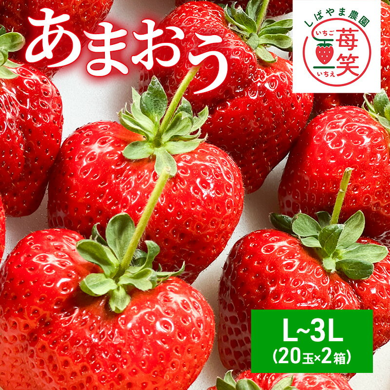名称あまおう内容量朝倉市産　あまおう　L～3L　20玉×2箱産地朝倉市産事業者しばやま農園配送方法冷蔵配送お届け時期2027年3月上旬～4月下旬備考※画像はイメージです。 ※離島にはお届けできません。 ※商品到着後は、なるべくお早めにお召し...