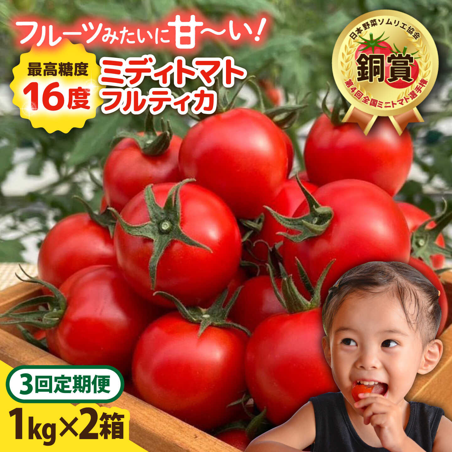 トマト とまと 野菜 やさい フルティカ 中玉トマト ミディトマト 甘い フルーツトマト 定期便 野菜定期便旨味をぎゅっと閉じ込めた、ミディトマト！ 最高糖度は16度！ 普通のトマトの糖度は4〜5度ですが、当園のトマトは栽培途中から糖度8〜...