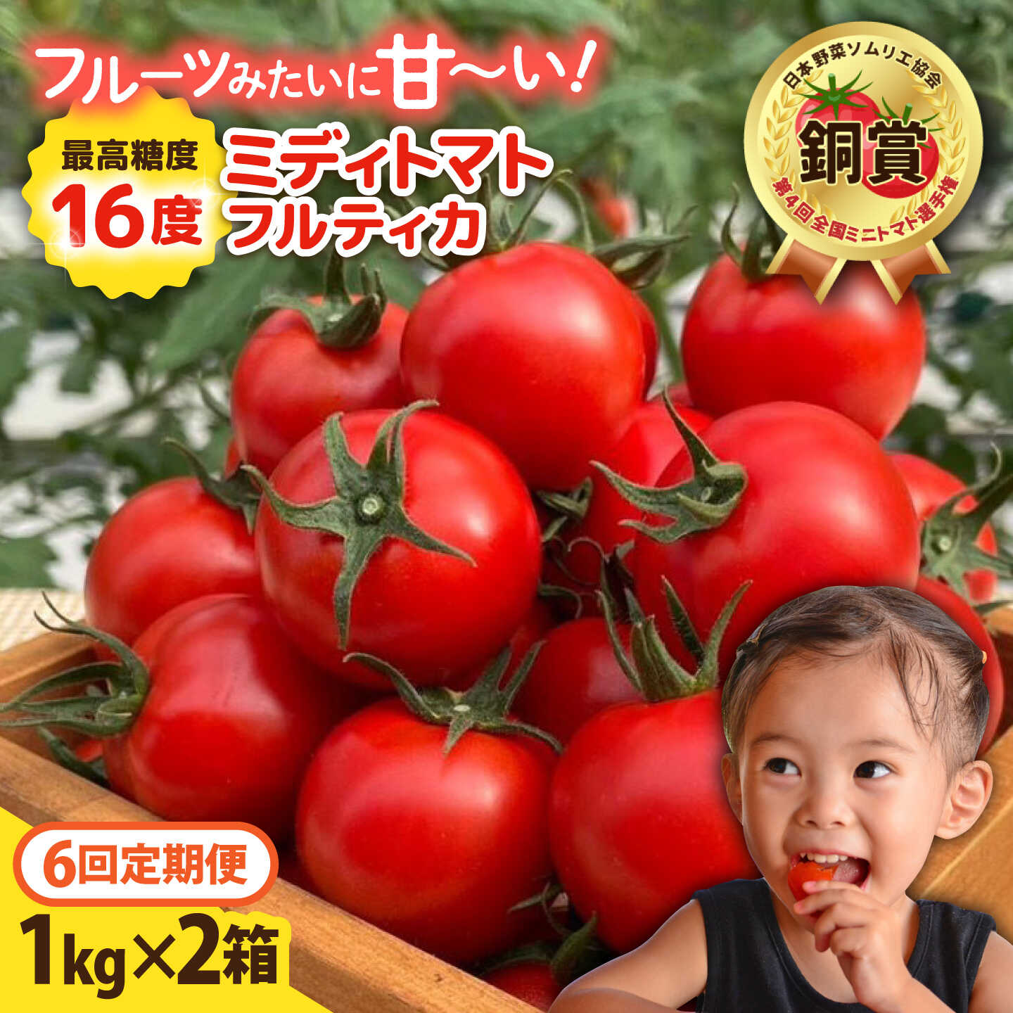 トマト とまと 野菜 やさい フルティカ 中玉トマト ミディトマト 甘い フルーツトマト 定期便 野菜定期便旨味をぎゅっと閉じ込めた、ミディトマト！ 最高糖度は16度！ 普通のトマトの糖度は4〜5度ですが、当園のトマトは栽培途中から糖度8〜...