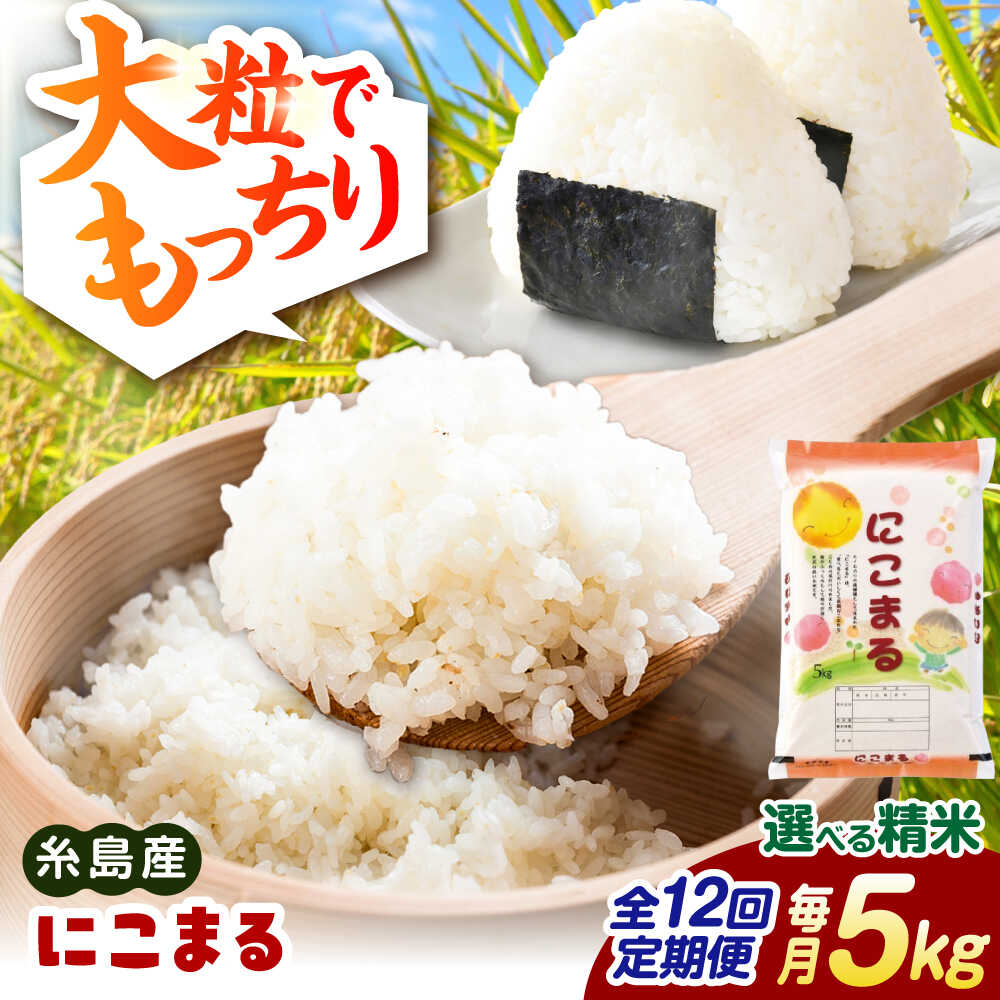 米 白米 玄米 お米 精米 5kg 分つき にこまる米 にこまる ご飯 ごはん 分搗き 米定期便 もっちり 大粒 冷めても美味しい おにぎり お弁当 専門店 選べる精米 分づき米 産地直送大粒のしっかり食感、もっちりとした粘りと甘味のお米！...