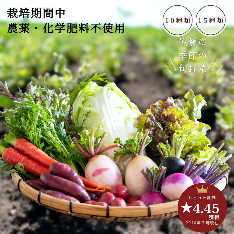 【ギフト包装・配送日指定対応】 ◆この商品を選んでいただくことで、障がいのある方の工賃向上につながります。 栽培期間中、農薬や化学肥料を一切使用せず、丁寧に育てた年間300種類以上の露地栽培野菜の中から、彩り豊かな季節の旬野菜10～15種類...