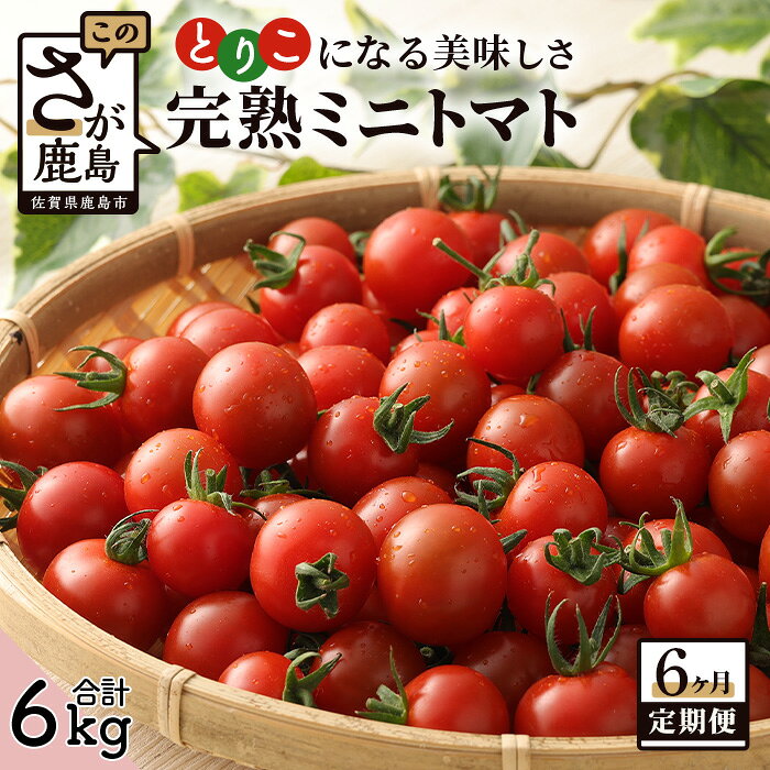 【2027年1月より発送開始】 完熟ミニトマトを毎月1回6か月連続でお届けします。 ”とりこ”になるトマト　RICOTOMATO トマトのおいしさや安全・安心にこだわり、てまひま惜しまず、徹底した管理のもと、一つ一つ愛情込めて育てています。...