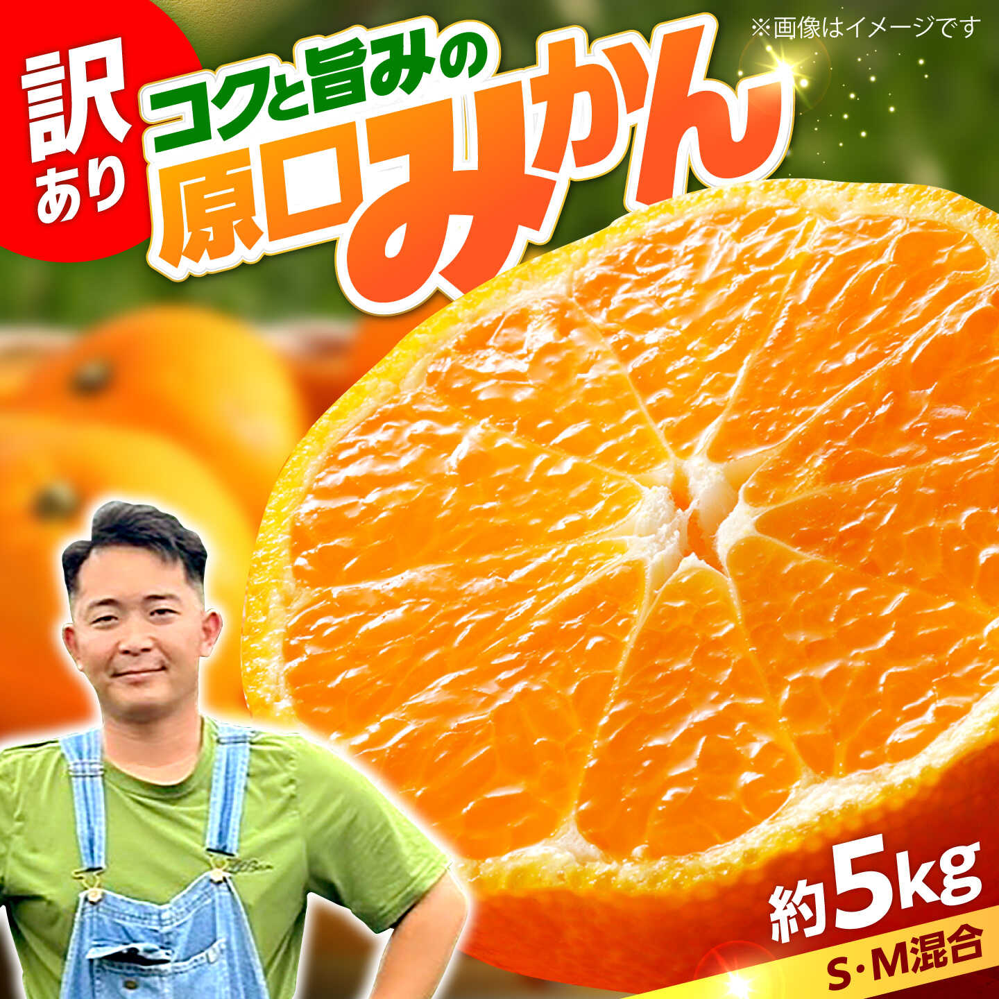 食べればコクと旨みが口の中に広がり後に残る味です。 24時間365日みかんの事だけを思って育てた田川農園自慢のみかんを是非一度ご賞味ください。 ■訳あり理由 外見に擦れや傷はございますが、中身の美味しさは変わりません。 安心してお召し上がり...