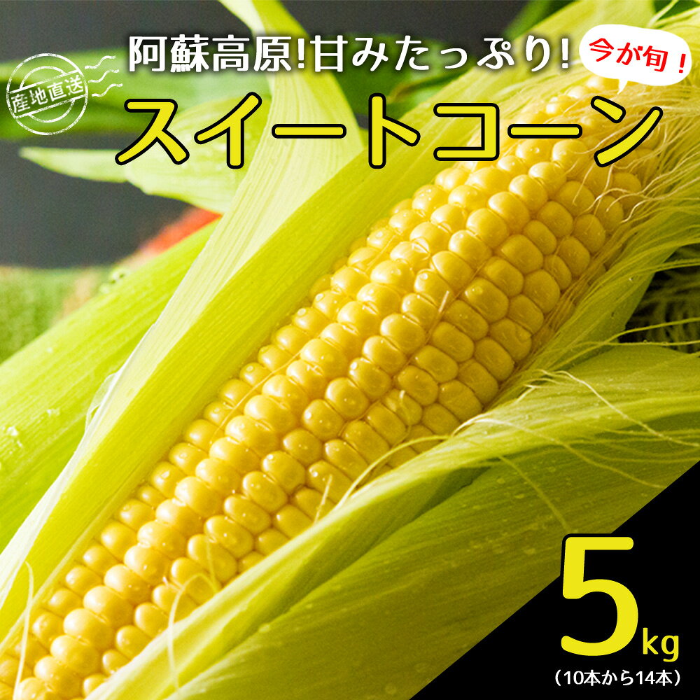 夏の訪れ、この時期にしか味わえないスイートコーン。 阿蘇の生産者さんが丹精込めて作ったスイートコーンを皆様へお届けします。糖度は平均16度で、高いものになるとなんと、21度になるものもあります！ 主な品種は、生でも食べられて甘みが特徴的な恵...