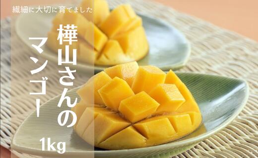 名称 【2026年7月中旬より順次発送】完熟マンゴー約1kg(2～3個:化粧箱入り)、家庭用(B級品) 保存方法 冷蔵 発送時期 2026-07-15～2026-08-15 提供元 樺山マンゴー農園 配達外のエリア 離島 お礼品の特徴 伊仙...