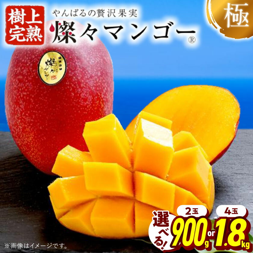 名称 【2026年7月から順次発送・最高級ランク極】燦々マンゴー 900g(2玉)/1.8kg(4玉) 保存方法 冷蔵 提供元 株式会社ファインフルーツおおぎみ（国頭村） 配達外のエリア 離島 お礼品の特徴 沖縄県国頭村の豊かな自然と太陽の...