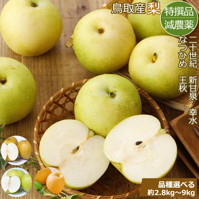 産地 鳥取産 梨 品質 等級：特選（秀）品 内容量 約2.8kg～9kg 品種・配送時期 幸水：8月中旬～下旬頃配送 なつひめ：8月下旬頃配送 新甘泉：8月下旬頃配送 二十世紀：9月上旬～下旬頃配送 王秋：11月中旬～12月下旬頃配送 お届...