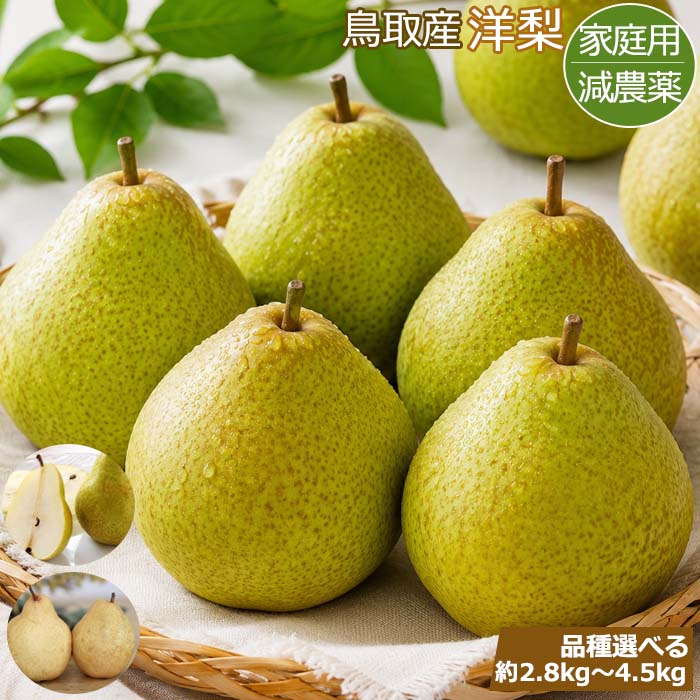 産地 鳥取産 洋梨 品質 等級：家庭用 内容量 約2.8kg～4.5kg 品種・配送時期 ラ・フランス：11月上旬～中旬頃配送 シルバーベル：11月中旬～12月上旬頃配送 パス・クラサン：12月上旬～下旬頃配送 お届け方法 常温便・産地直送...