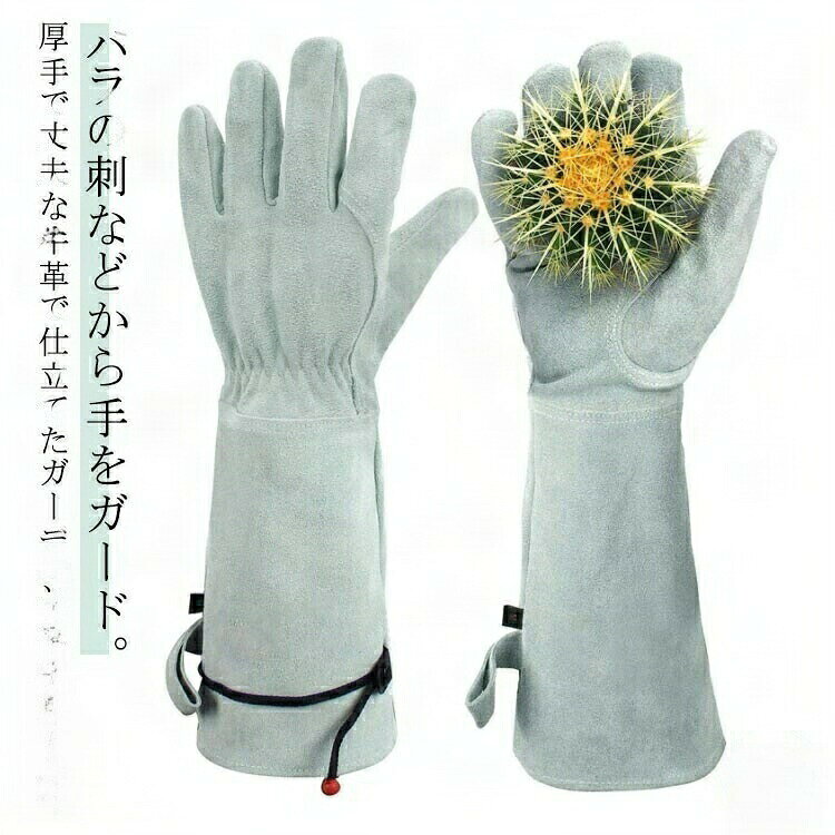 バラの刺などから手をガード。厚手で丈夫な牛革で仕立てたガーデニング用グローブ。ロングタイプで、腕や服をトゲ、汚れから守ります。バラの手入れや植物の剪定、ハードな園芸作業に最適です。サイズFサイズについての説明全長42cm 手のひら11.5c...