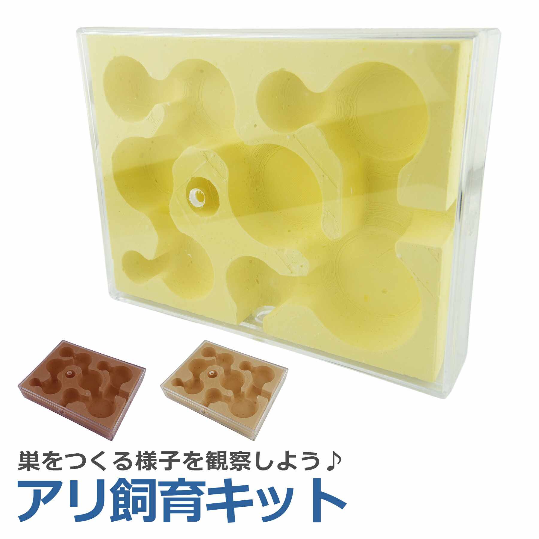【 商 品 説 明 】 〇アリを観察しやすい アリを飼育するためのコロニーです。 多くのアリを飼育可能で、巣の様子を横から観察できます。 〇アリのお世話をしよう スポイトなどを使用し適度に給水し、湿度を調整してください。 チューブを接続して...