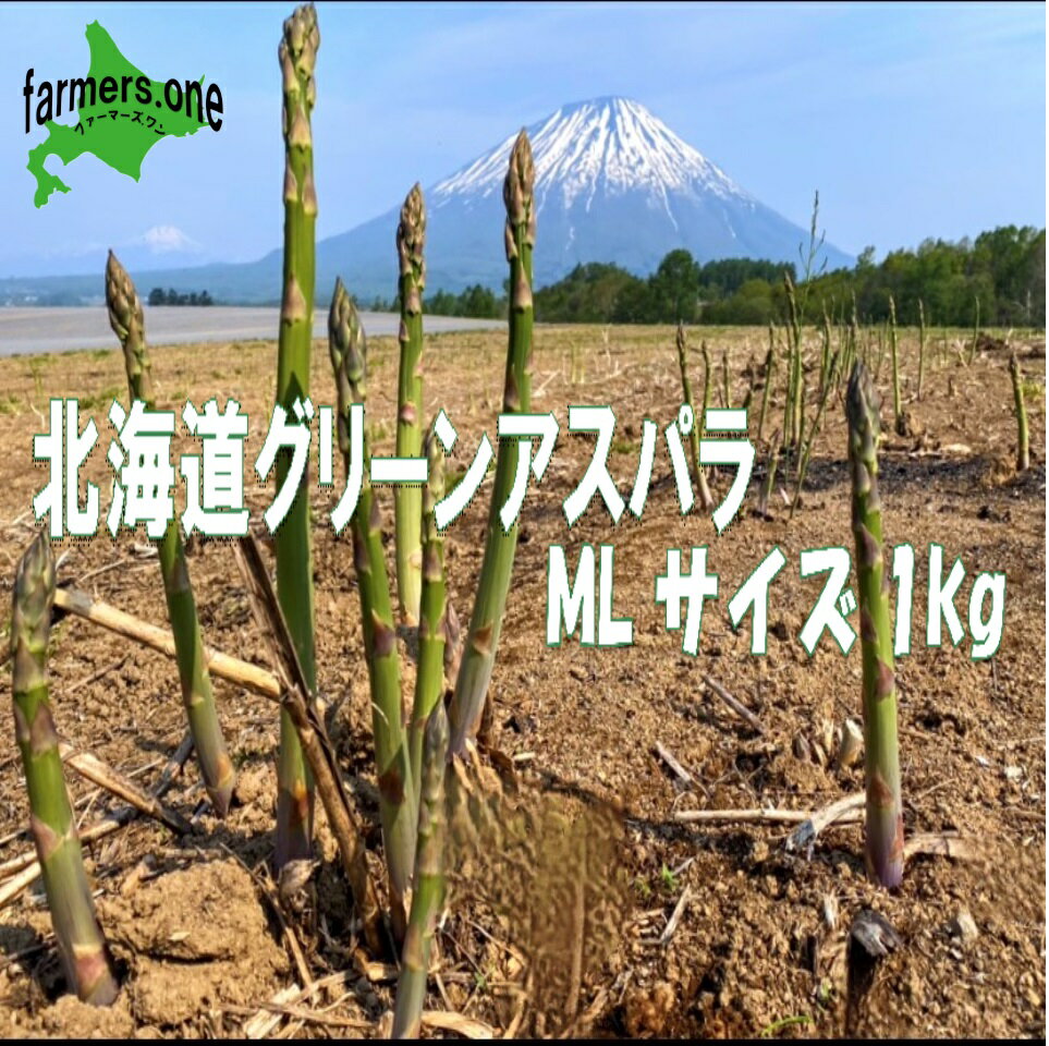 ・名称　グリーンアスパラ ・北海道の旨みをぎゅ～っと詰めた自慢のグリーンアスパラ！MLサイズ1kg 　新規出品　特別価格！！　送料無料　有機肥料たっぷり使用で旨みと香り豊か！　　北海道羊蹄山麓130ヘクタール（東京ドーム27個分）の農園で育...
