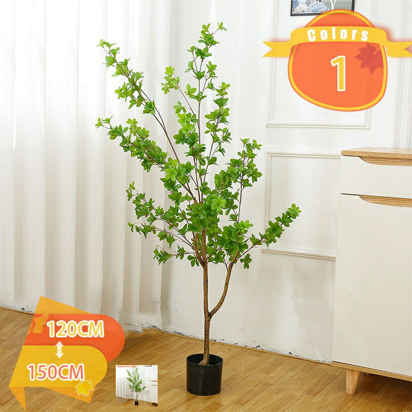 メイン素材：プラスチック、鉄【1、】黒い鉢のみ、写真の植木鉢は別途購入する必要があります。お部屋のコーディネイトに癒しを加えてみませんか。植物は、主役ではないけどお部屋の彩りを豊かにしてくれ、心地よい空間を演出する重要なお仕事をしていてくれ...