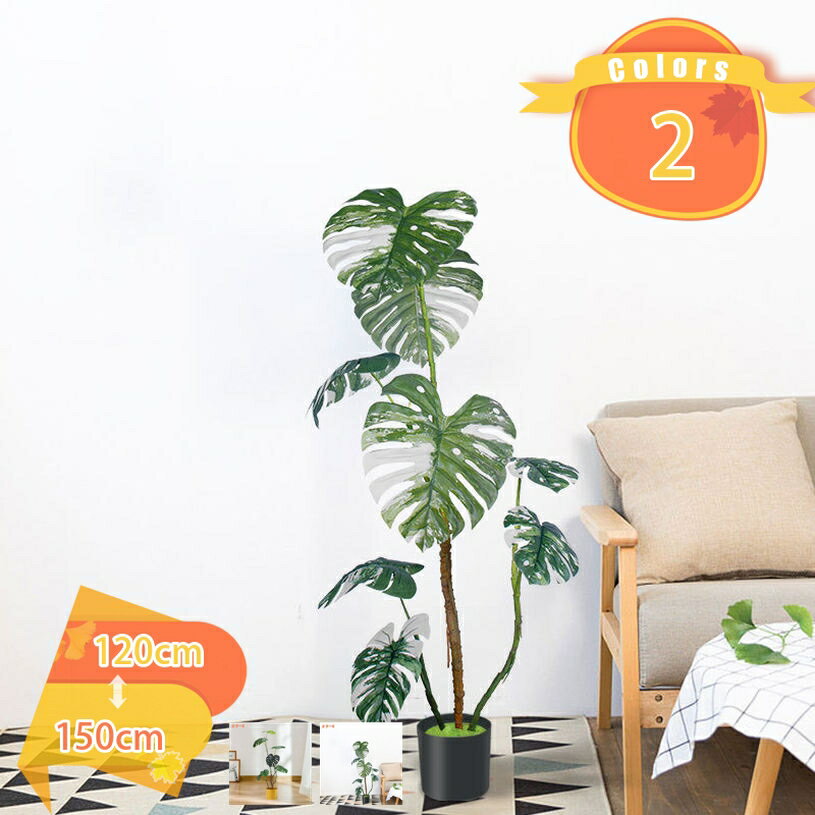 メイン素材：プラスチック1、【高：76cm（盆栽）、150CM、120cm。黒い鉢のみが提供されて、輸送中にわずかに破損しますが、使用には影響ありません。写真に示されている鉢は別途購入する必要があります。】【素材】プラスチック、鉢付き ※葉...