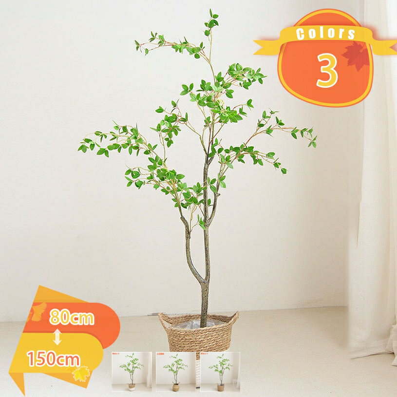 メイン素材：プラスチック、鉄【1、】黒い鉢のみ、写真の植木鉢は別途購入する必要があります。お部屋のコーディネイトに癒しを加えてみませんか。植物は、主役ではないけどお部屋の彩りを豊かにしてくれ、心地よい空間を演出する重要なお仕事をしていてくれ...