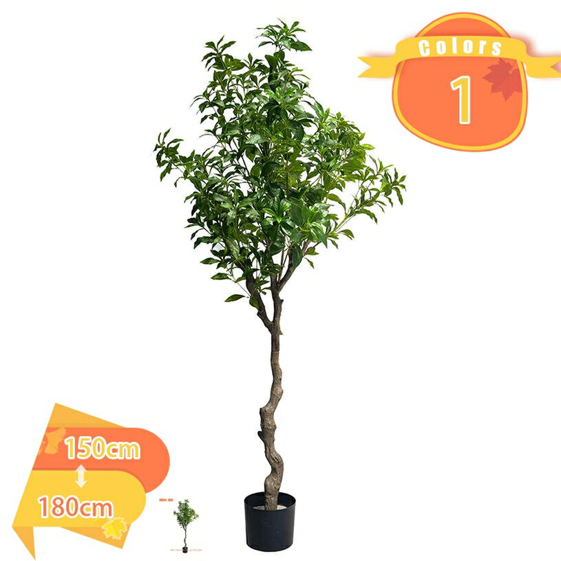 メイン素材：プラスチック、鉄【1、】黒い鉢のみ、写真の植木鉢は別途購入する必要があります。お部屋のコーディネイトに癒しを加えてみませんか。植物は、主役ではないけどお部屋の彩りを豊かにしてくれ、心地よい空間を演出する重要なお仕事をしていてくれ...