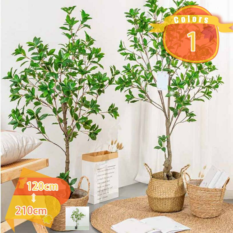 メイン素材：PE【仕様】人工観葉植物はPE材質を採用して、光沢感を持ち、柔らかい手触りで、本物の生き生きする姿を再現します。パステルカラーをベースに、自然にフレッシュで本物の葉にとても近い色に見えます。光沢感を持ち、柔らかい手触りで、本物観...